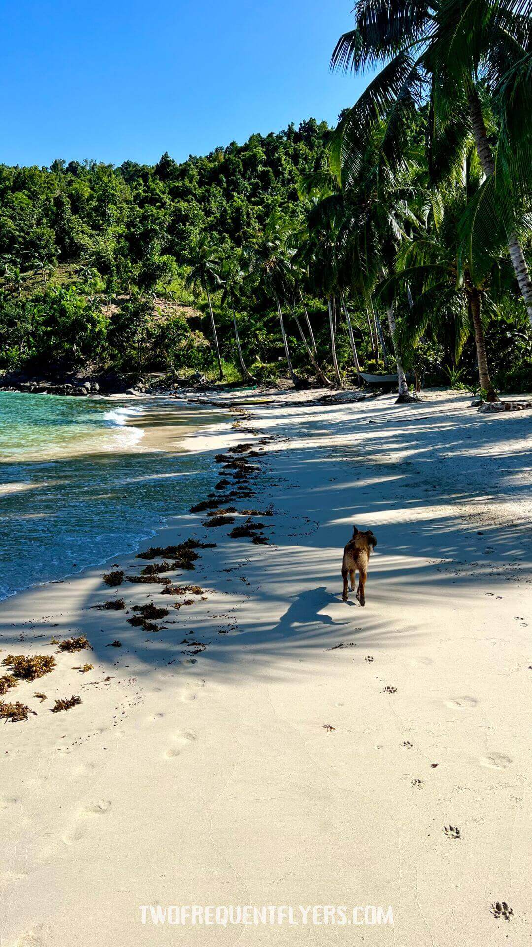 10 Best Things To Do In Port Barton | Ultimate Travel Guide