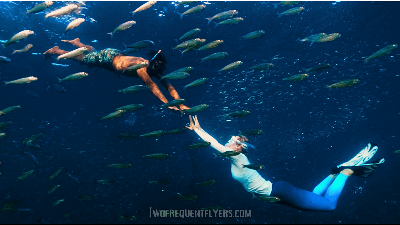 Moalboal Cebu - 12 Best Things To Do | Ultimate Travel Guide