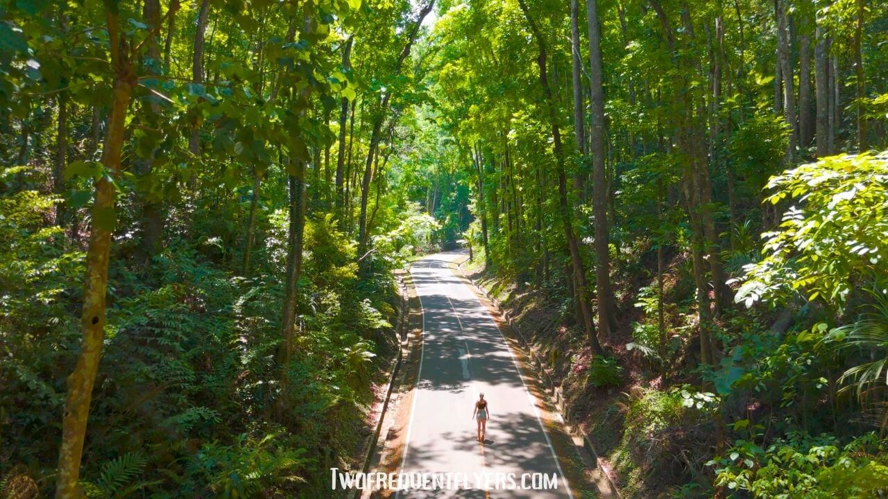 7 Absolute Best Things To Do In Bohol Philippines